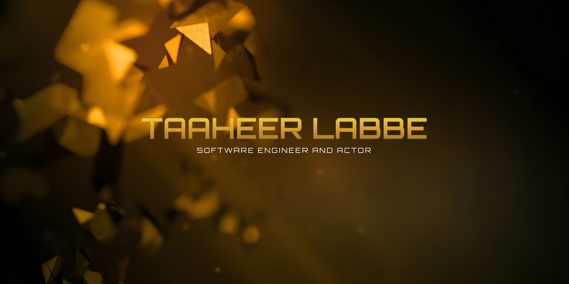 Homepage - Taaheer Labbe